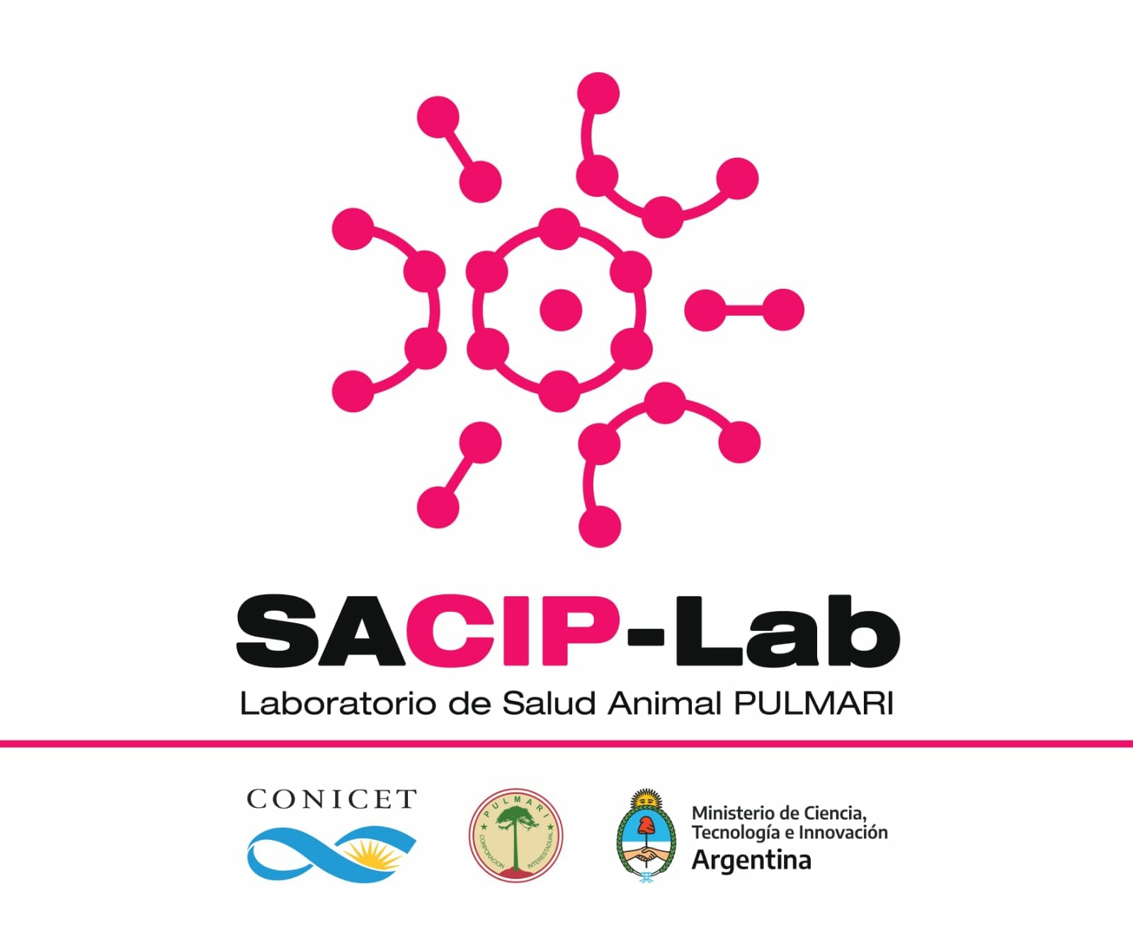 SACIP – Lab – Corporación Interestadual Pulmarí